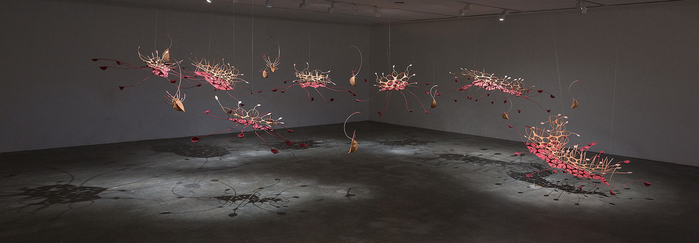 Ranjani Shettar: Seven ponds and a few raindrops | The Metropolitan ...