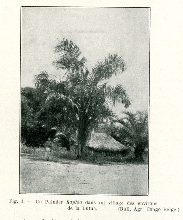 Patterns without End: The Techniques and Designs of Kongo Textiles ...