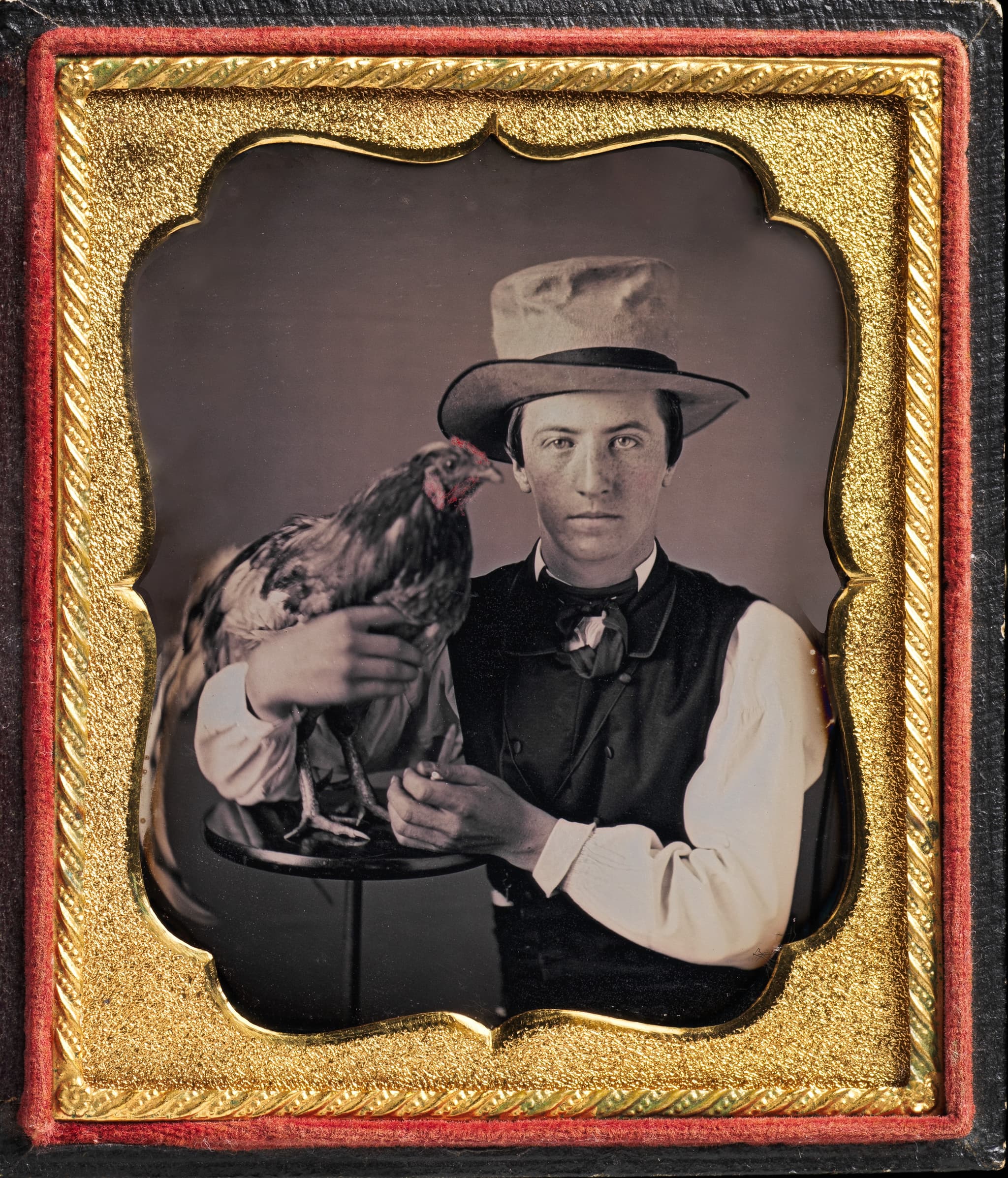 The New Art: American Photography, 1839–1910 - The Metropolitan Museum ...