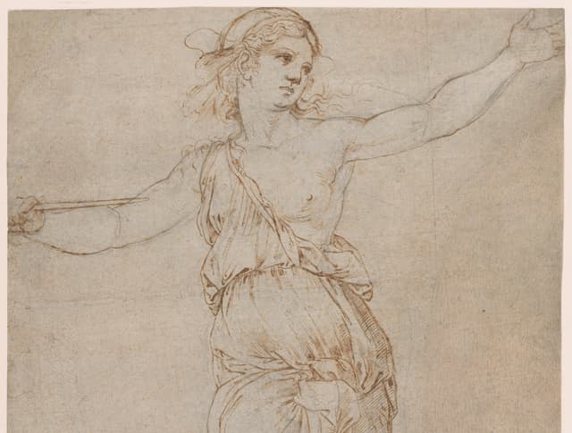 The Metropolitan Museum of Art