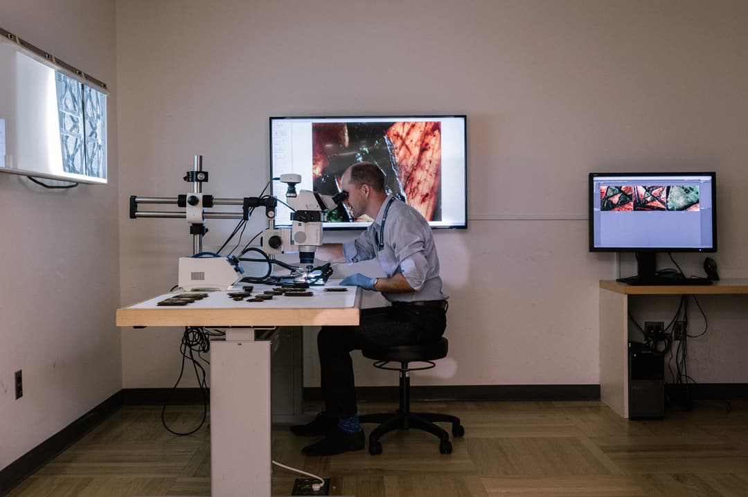 About The Met - The Metropolitan Museum of Art